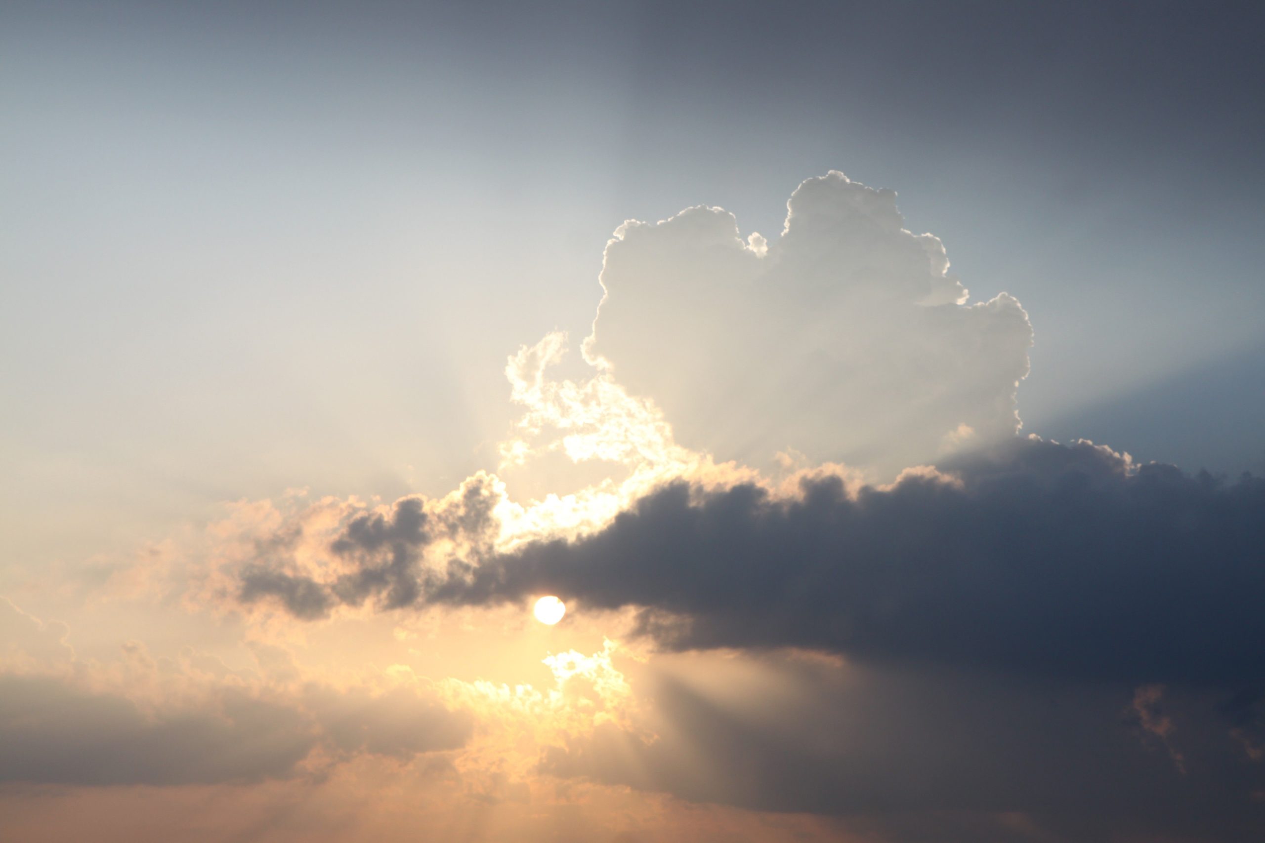 Revelation: Shared, Diverse, and Proactive - LDS Women Project